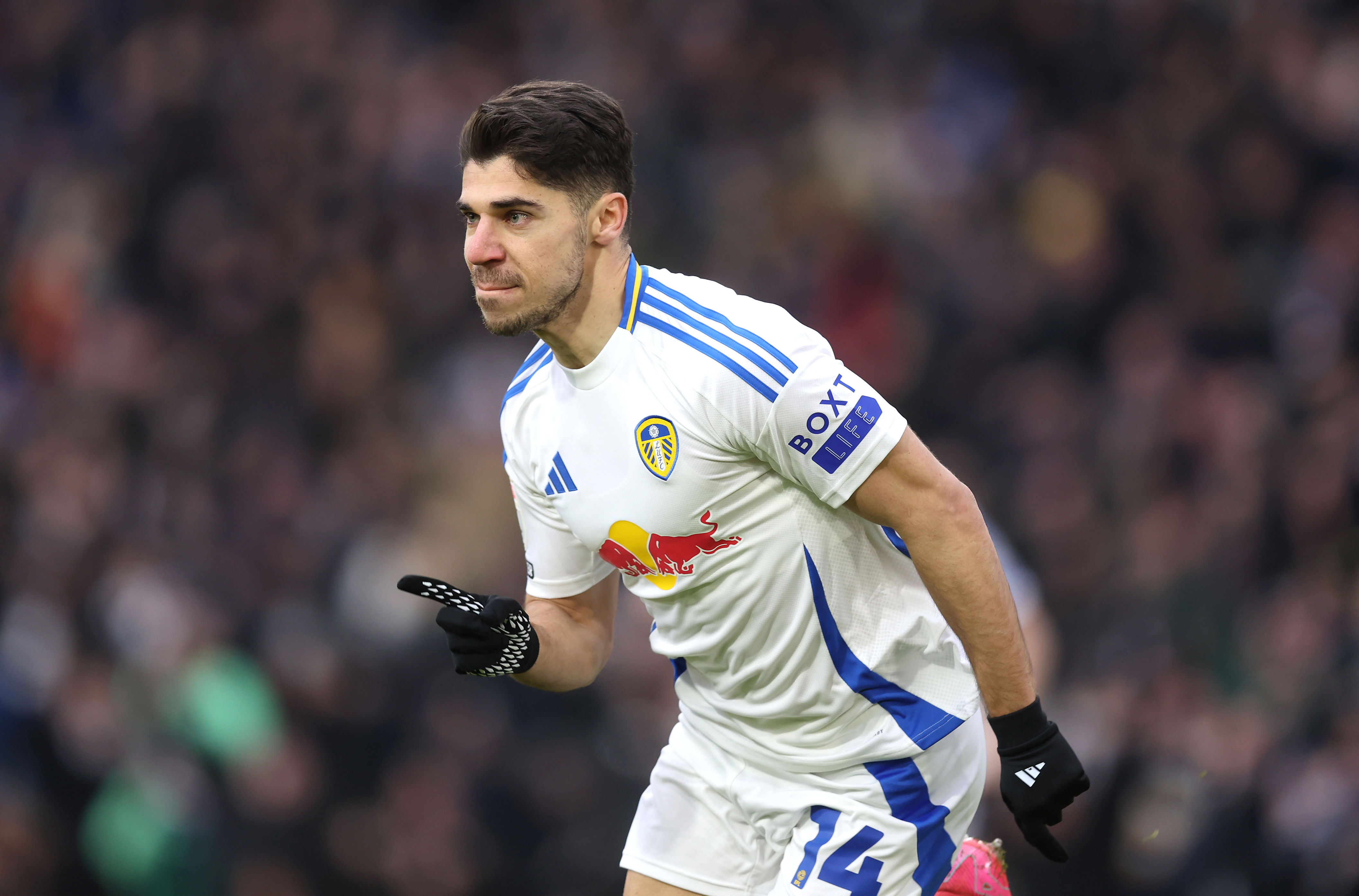 Tottenham's Manor Solomon issues life at Leeds United verdict with ...