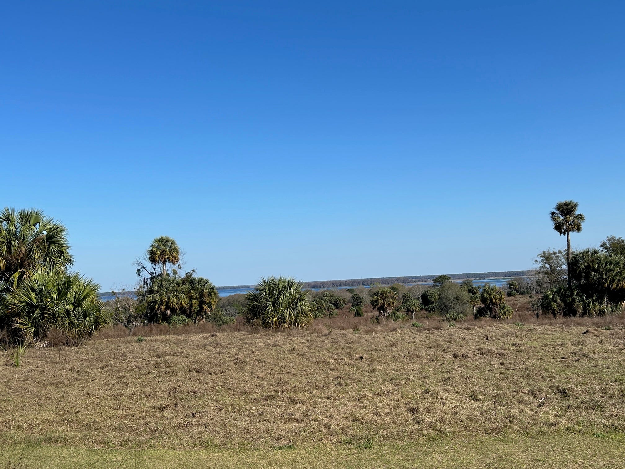Time to celebrate! Expansion of the Orange Lake Overlook south of McIntosh