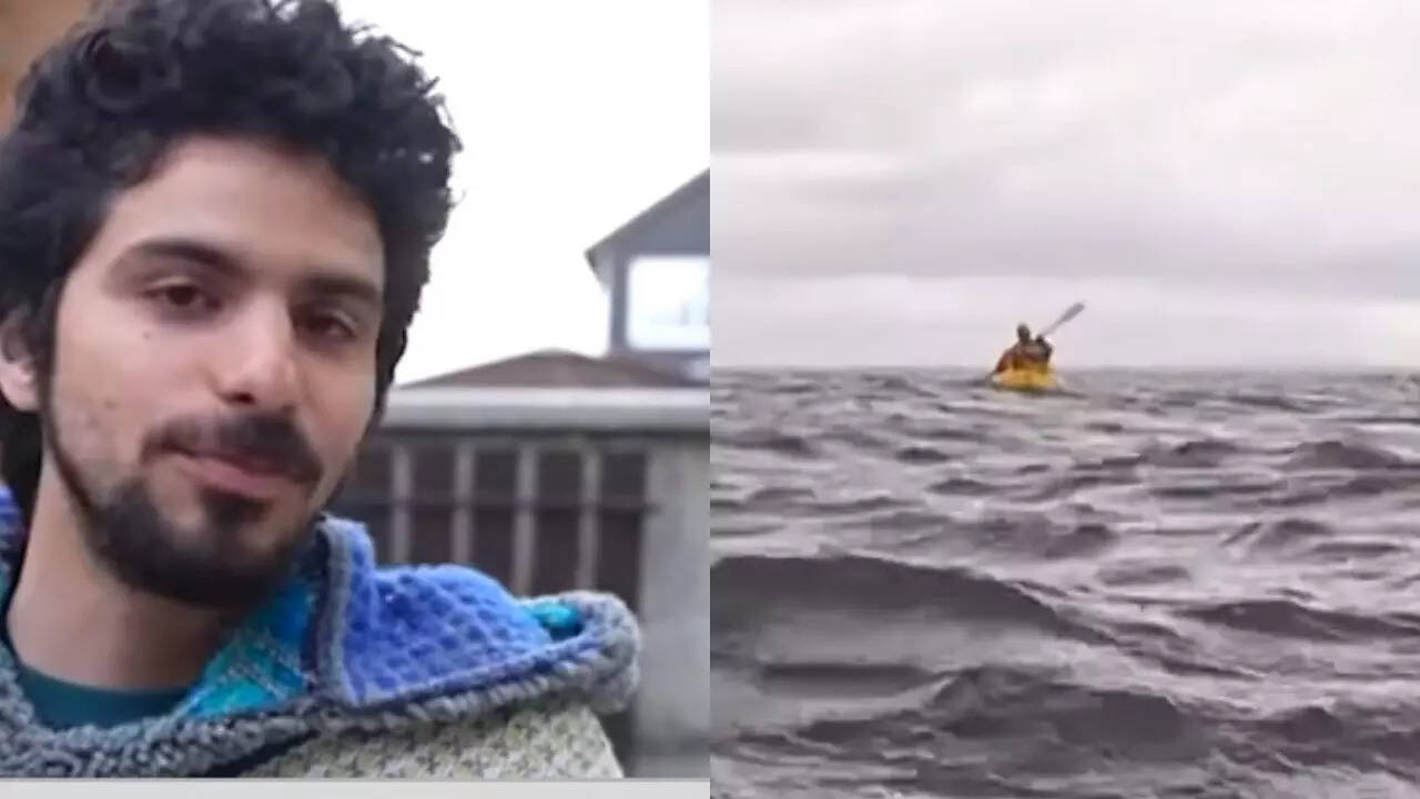Man Almost Swallowed By A Whale Describes Terrifying Seconds Inside Its ...