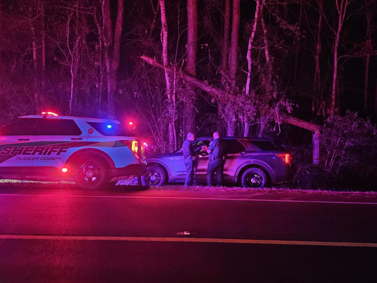 Pilot of Cessna 208 Caravan that crashed in Flagler County presumed ...