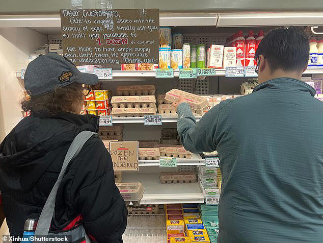 Egg crisis state where prices skyrocketed, shoppers line up for hours
