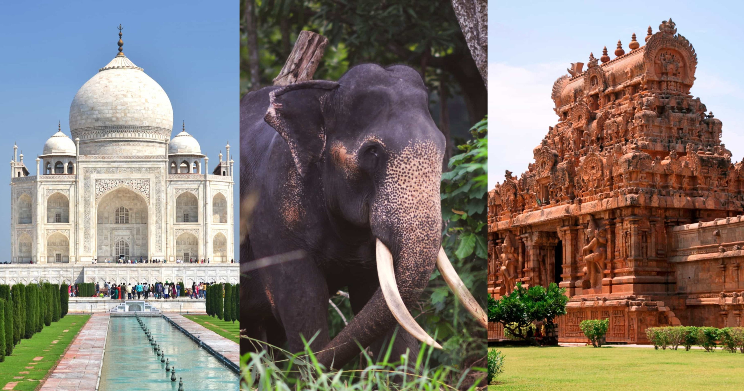 L'Inde et son incroyable patrimoine mondial