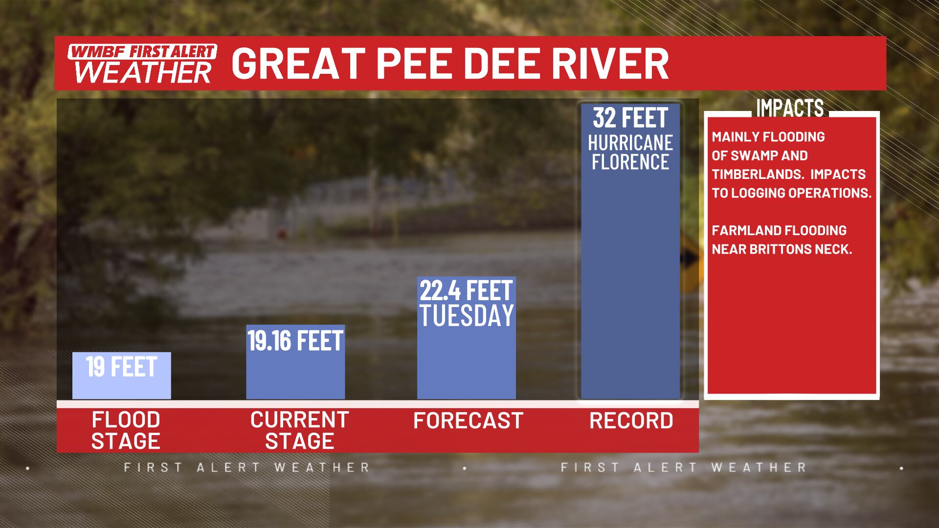 FIRST ALERT: Great Pee Dee River in minor flood stage expected to crest ...