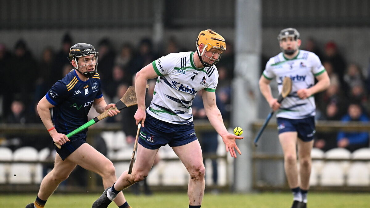 UL overpower DCU to lift third Fitzgibbon Cup in four years