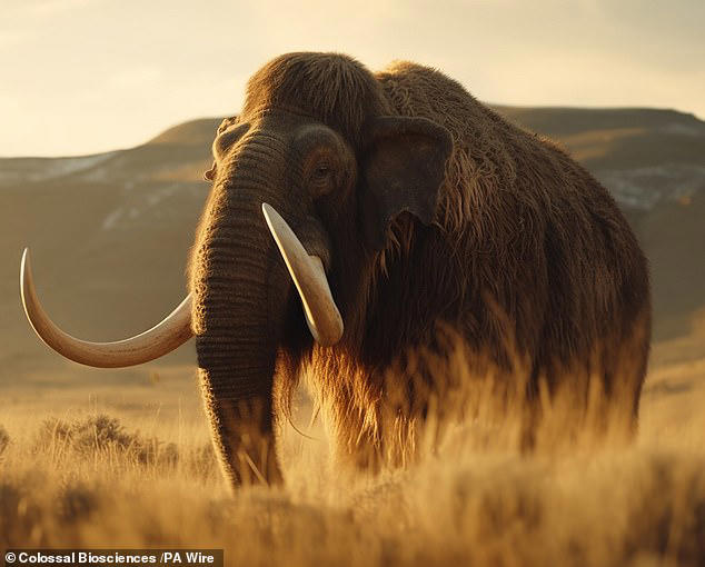 Mammoth sum raised by Colossal Biosciences to bring back extinct species