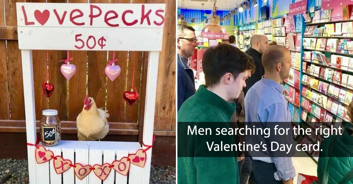 45 Funny And/Or Random Pictures To Make Your Afternoon Scroll Worth It ...