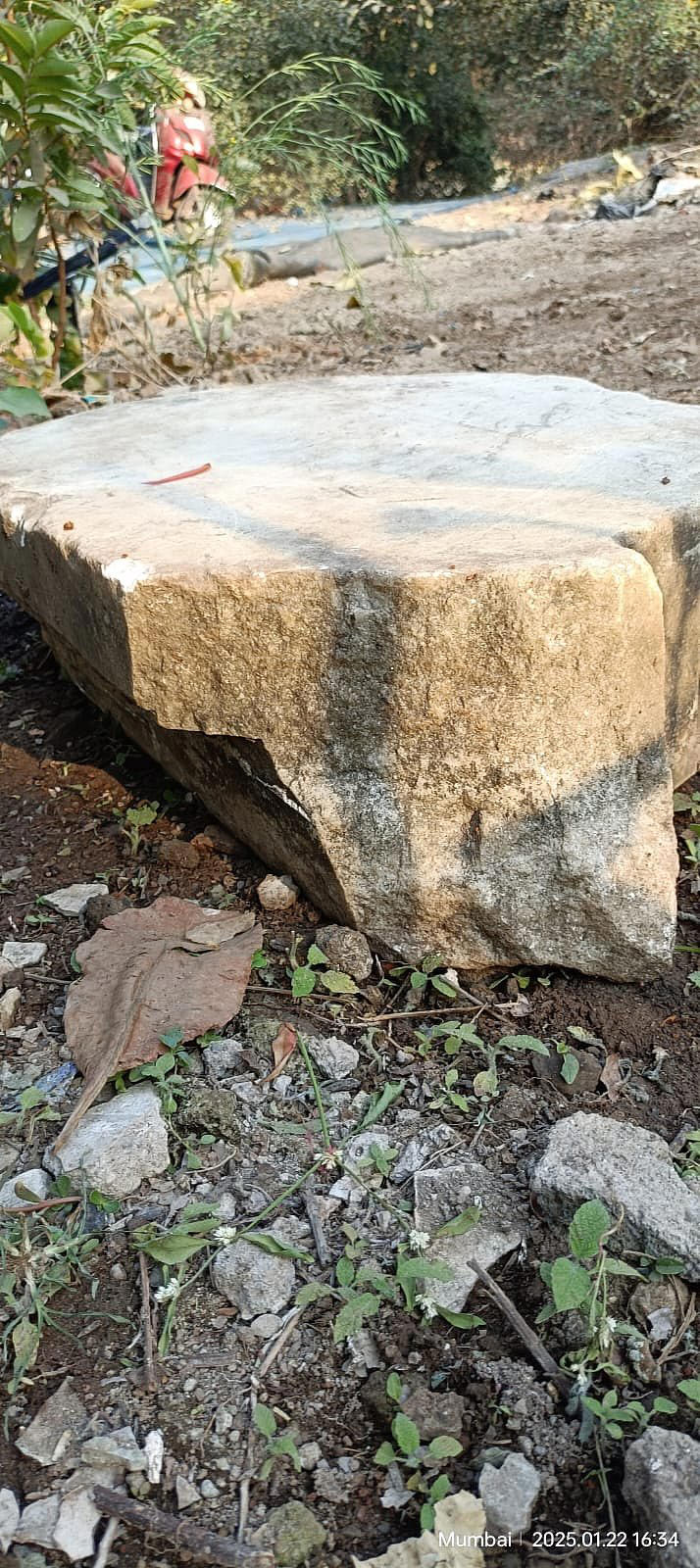 Mumbai: Ancient Artefacts Unearthed In Aarey Forest Sparks Calls For ...