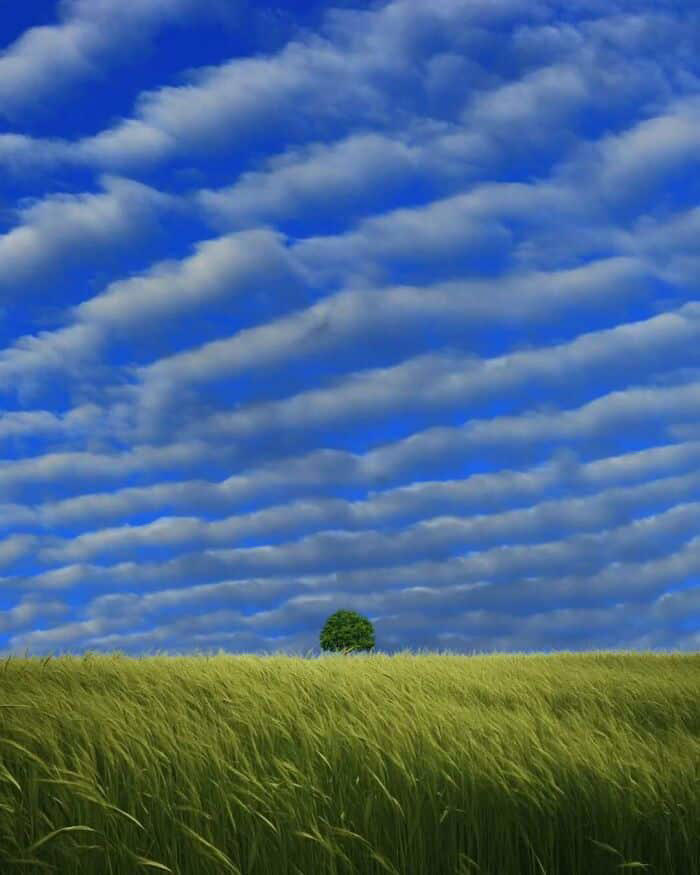 40 Minimalist And Surreal Photo Art Pieces By Benjamin Wolf That Feel Like Magic