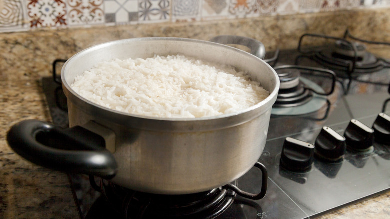 How To Choose The Best Pot For Cooking Rice On The Stove