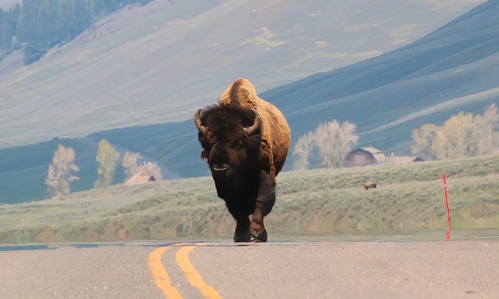 National Park Service employees speak out after mass layoffs