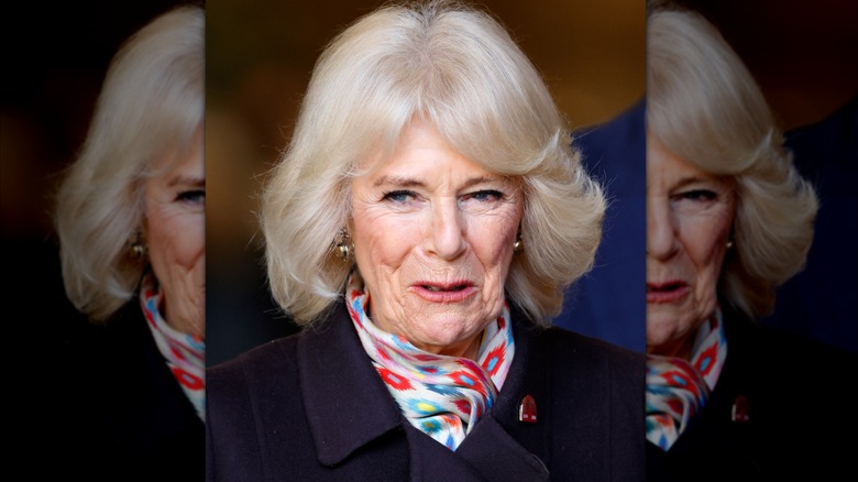 Five Rumors About Queen Camilla We Couldn't Ignore