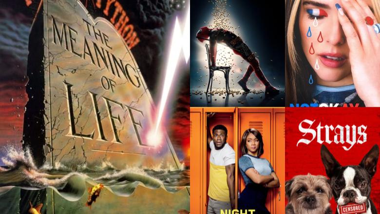 8 Black Comedies That Have a Wildly Dark Sense of Humor