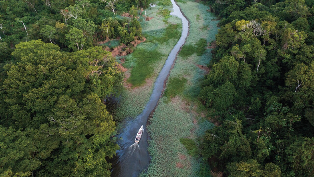La Amazonía como metáfora: todo sobre Perpetual Planet Amazon Expedition