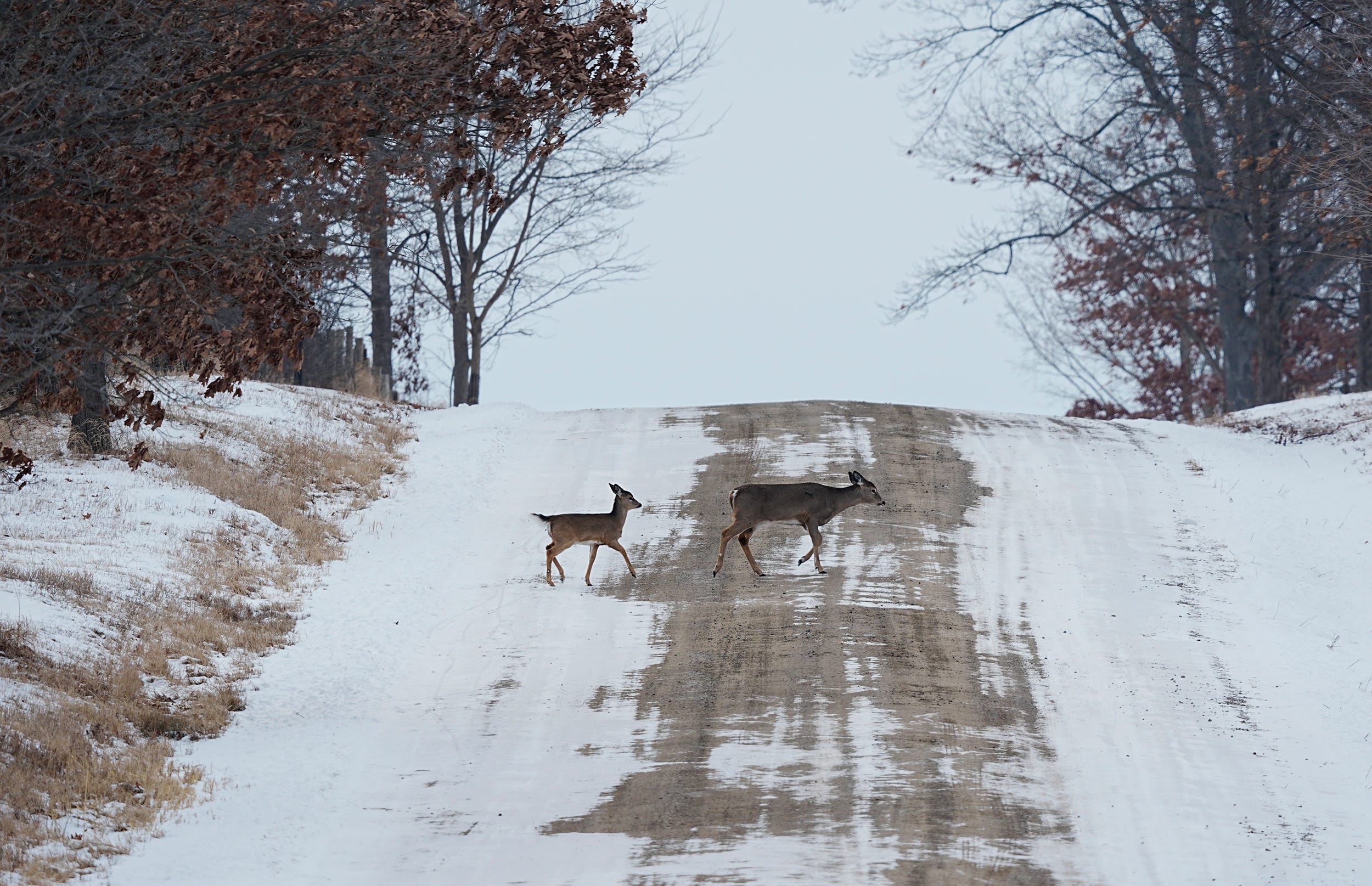 Snow, ice, and strong winds: What to expect from this weekend’s winter ...