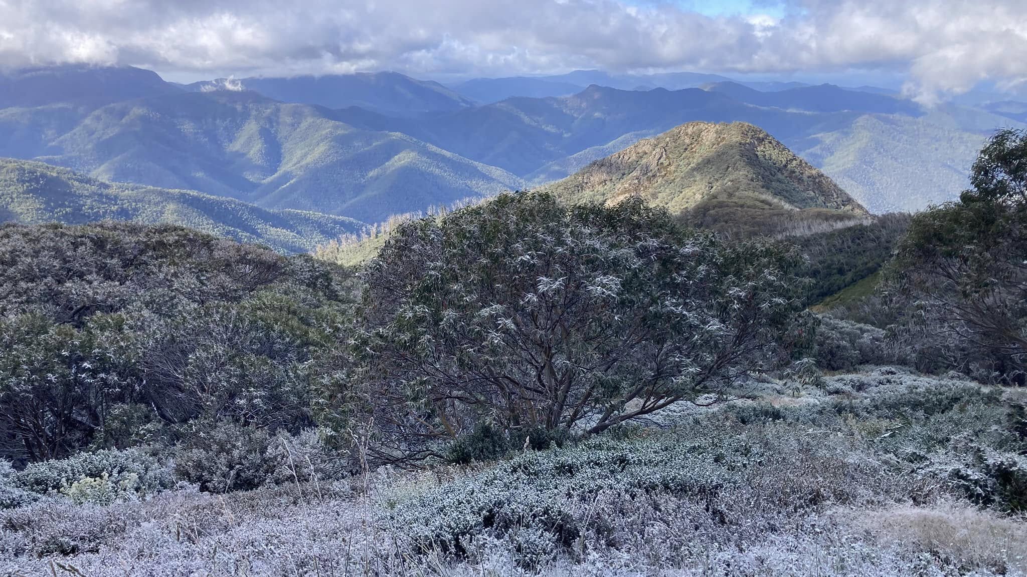 Coldest February night on record in parts of Victoria with summer snow ...