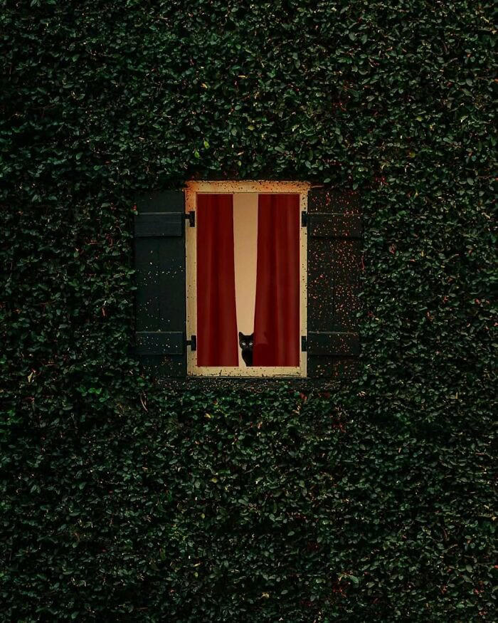 40 Minimalist And Surreal Photo Art Pieces By Benjamin Wolf That Feel ...