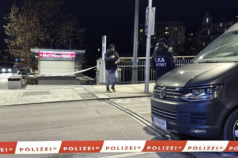 Austria mass stabbing suspect caught 'smiling' after attack killed boy ...