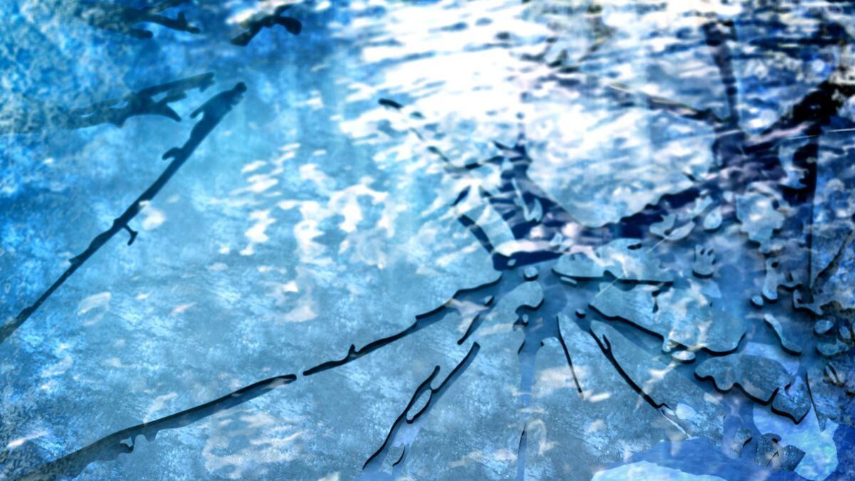 Fort Atkinson Fire Department provides details on Lake Koshkonong ...