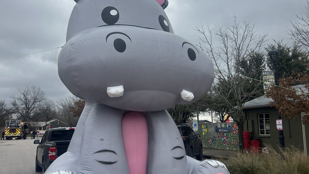 Hutto hippos: How one city is celebrating World Hippo Day