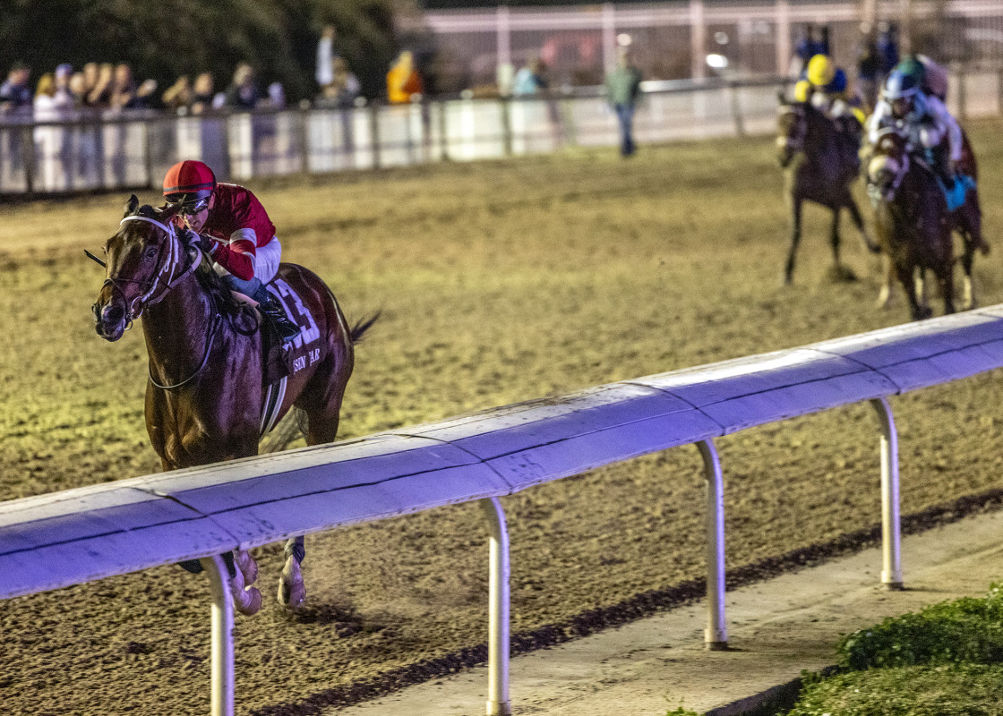 Magnitude 'Has Not Missed A Beat' Since Recovery From Ankle Chip ...