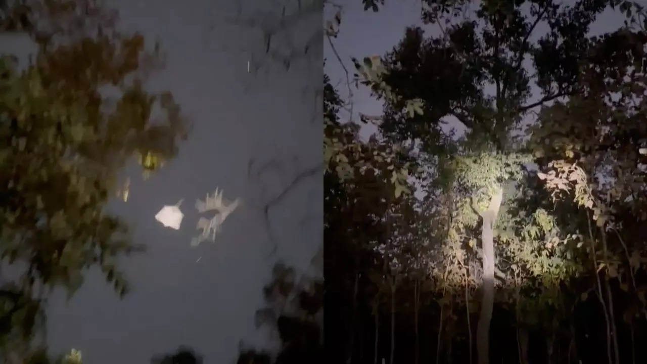 IFS Officer Shares Incredible Footage of an Airborne Flying Squirrel