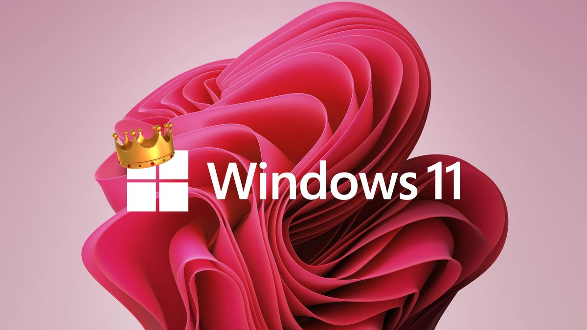 Usa Windows 11, pero bien