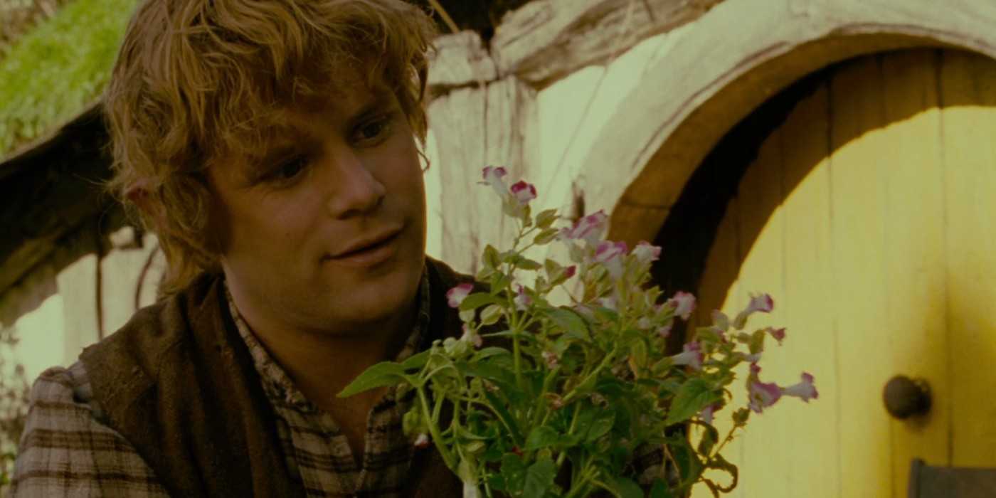 How Long Samwise Gamgee Had The Ring In The Lord Of The Rings