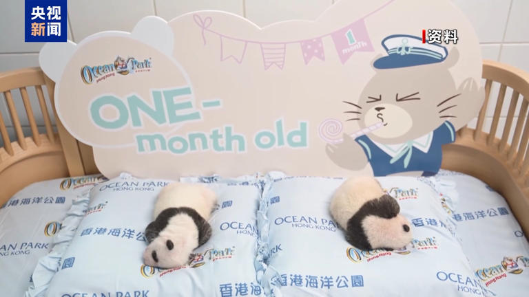 'Voice of Husker Nation': Greg Sharpe dies at 61