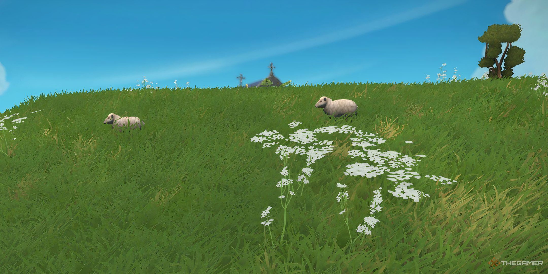 How To Get Wool In Foundation