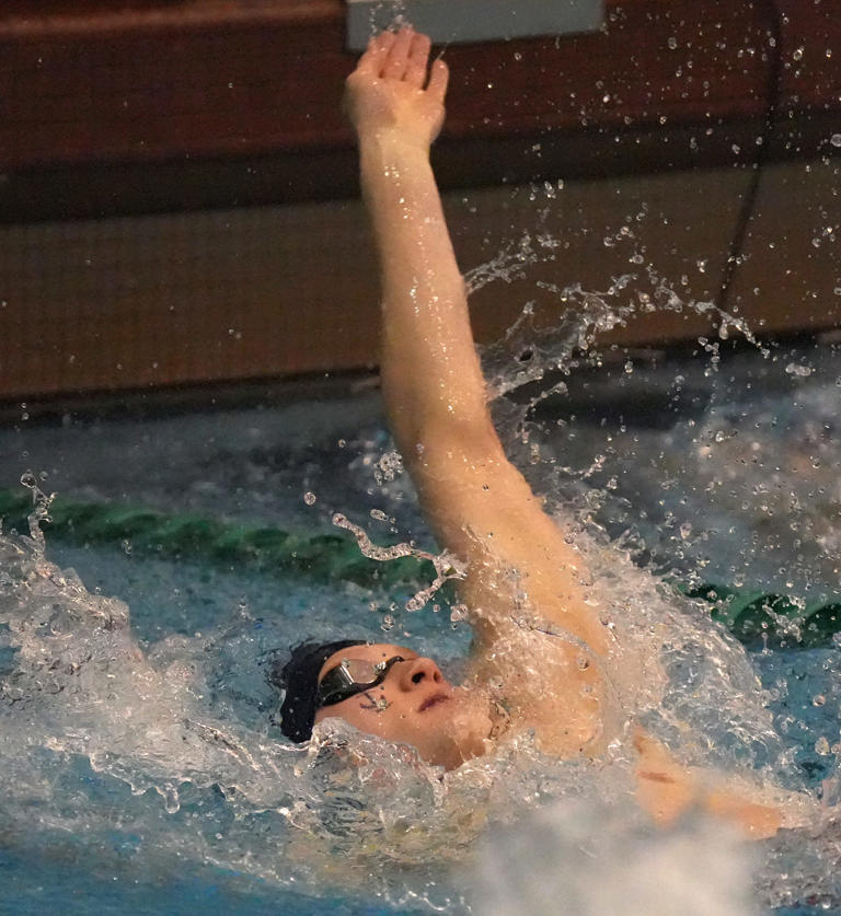 OHSAA boys swimming | Hudson wins title, Walsh dominates backstroke at ...