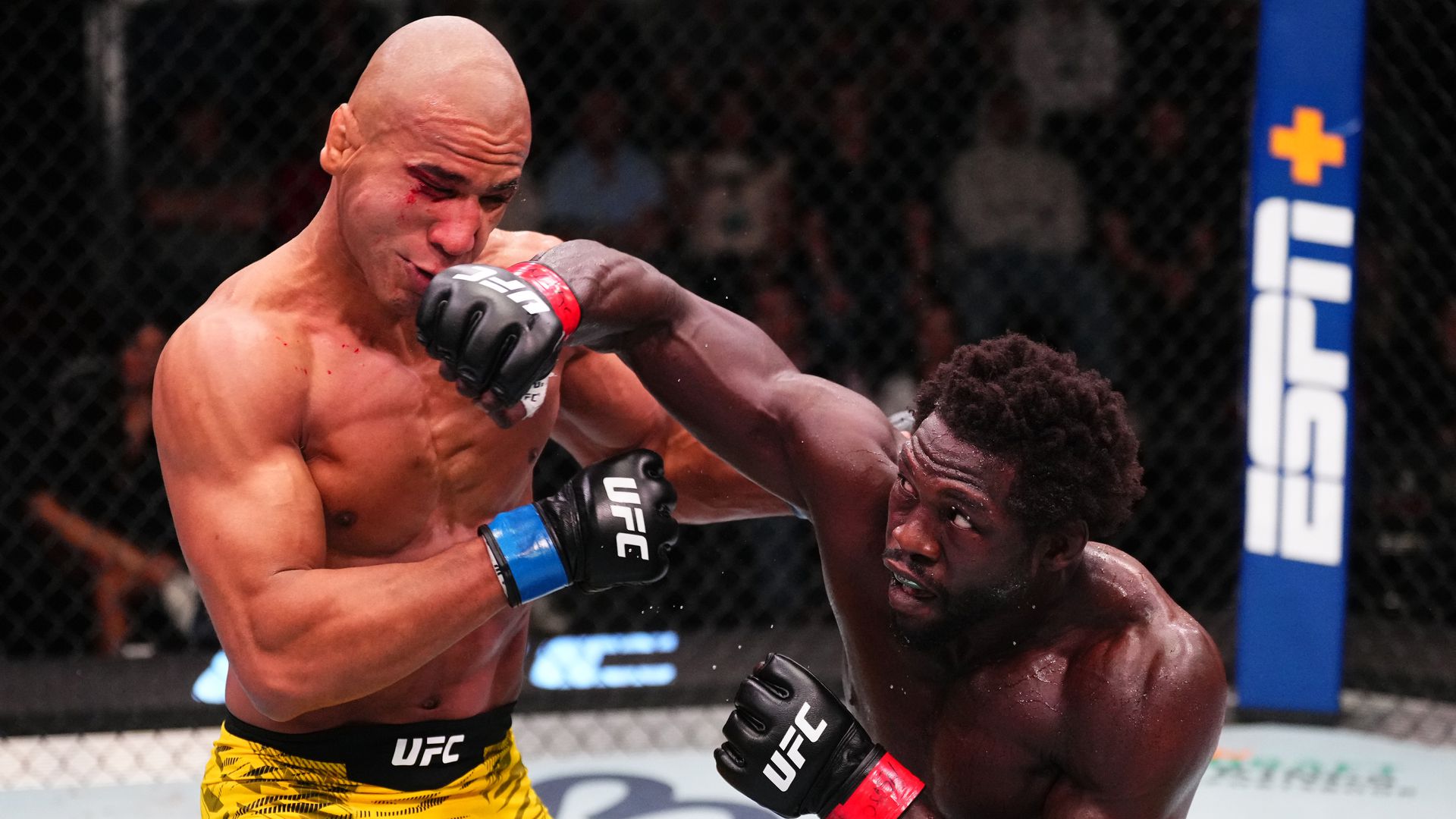 Jared Cannonier vs. Gregory Rodrigues full fight video highlights