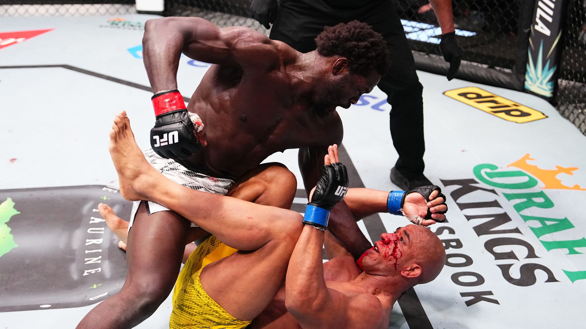 UFC Vegas 102 Results, Highlights