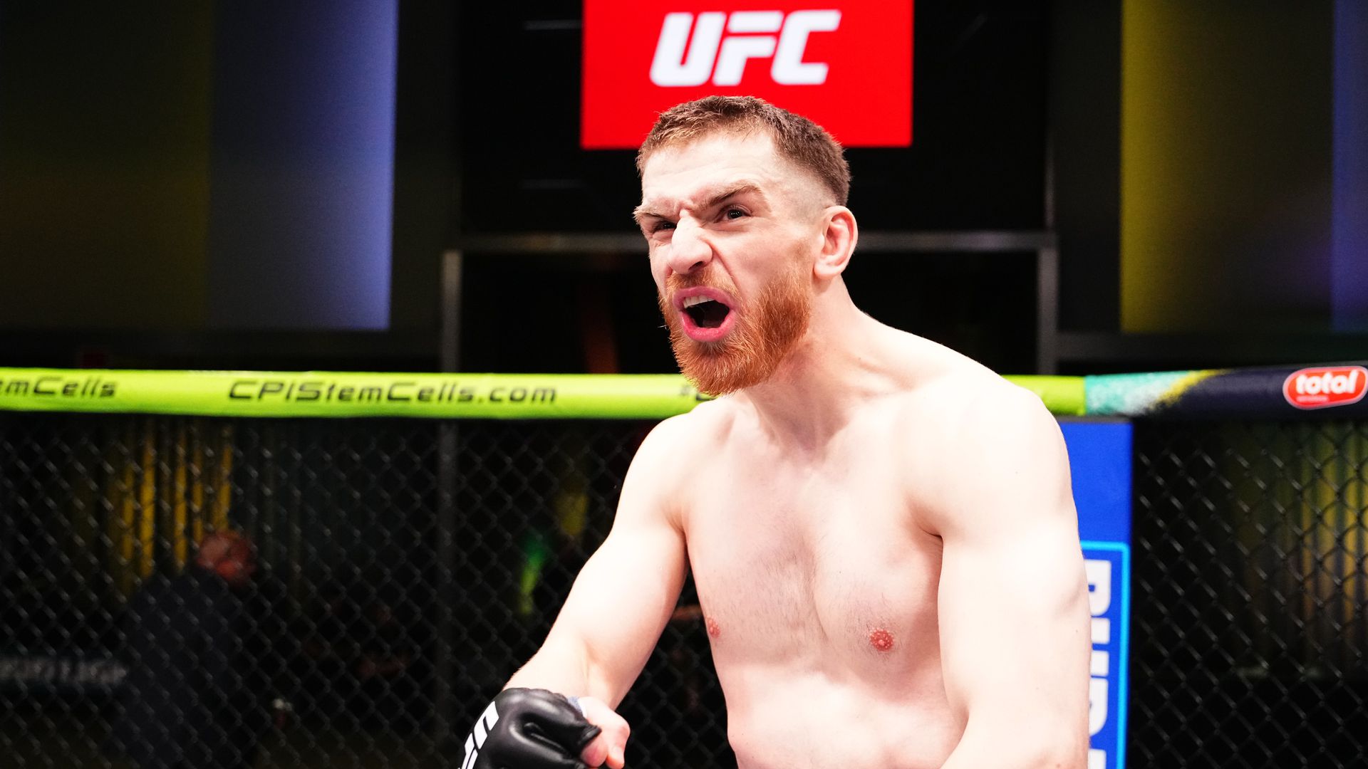 UFC Vegas 102 bonuses: Edmen Shahbazyan, Gabriel Bonfim awarded for ...