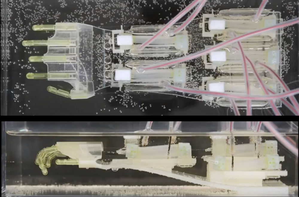 Muscle meets machine: Scientists in Japan unveil world’s first ...