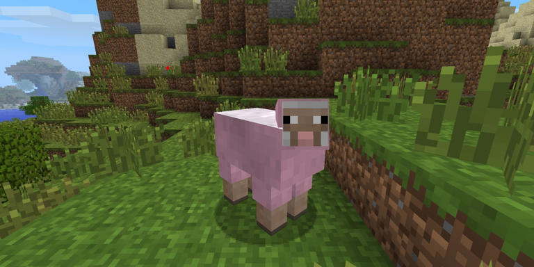 Minecraft Player Designs Sheep Variants