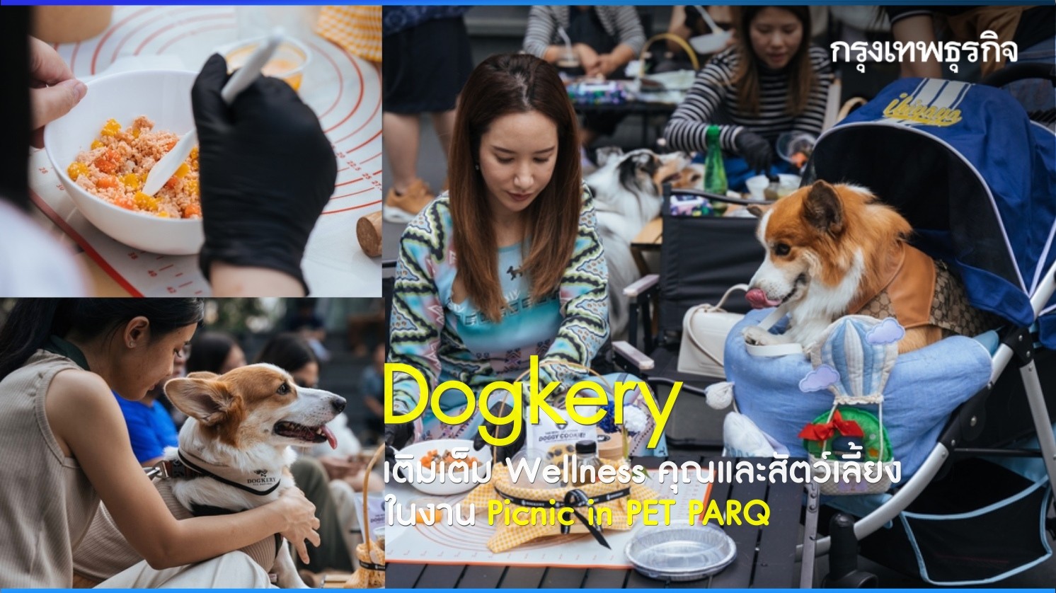 พาชม Pet PARQ คอมมูนิตี้สัตว์เลี้ยงบนสวนลอยฟ้าแห่งแรกของกรุงเทพฯ