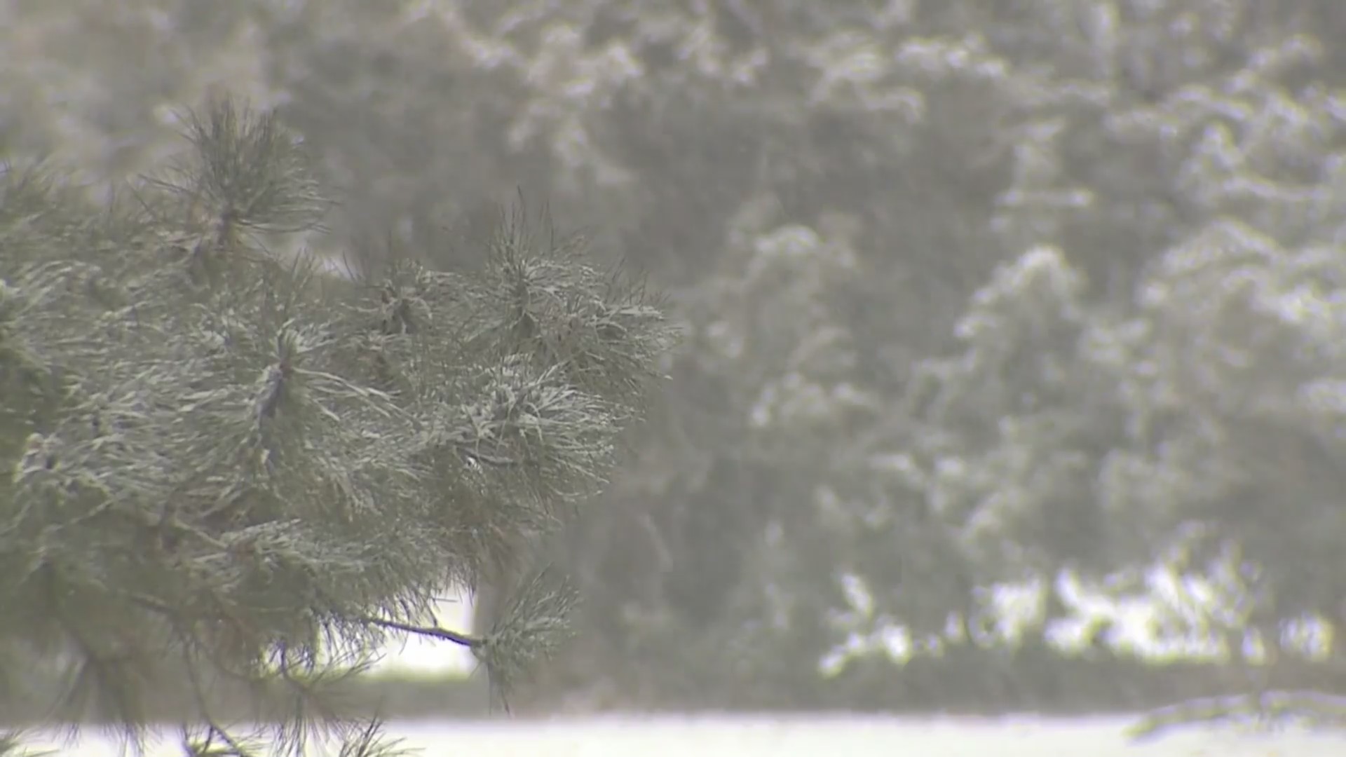 CDOT reminds drivers to be safe heading into another week of weather
