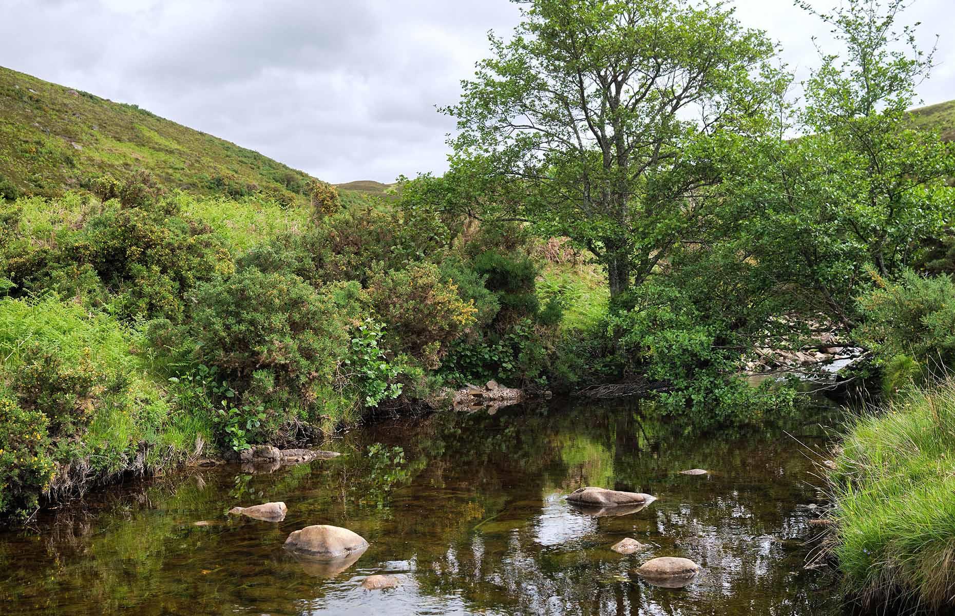Rivers where you can still find gold in the UK and around the world today
