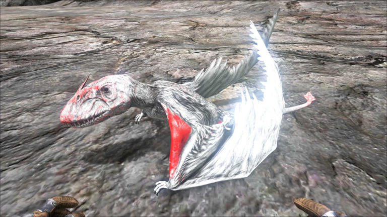 10 Best Ark: Survival Evolved Shoulder Pet Dinosaurs And Creatures