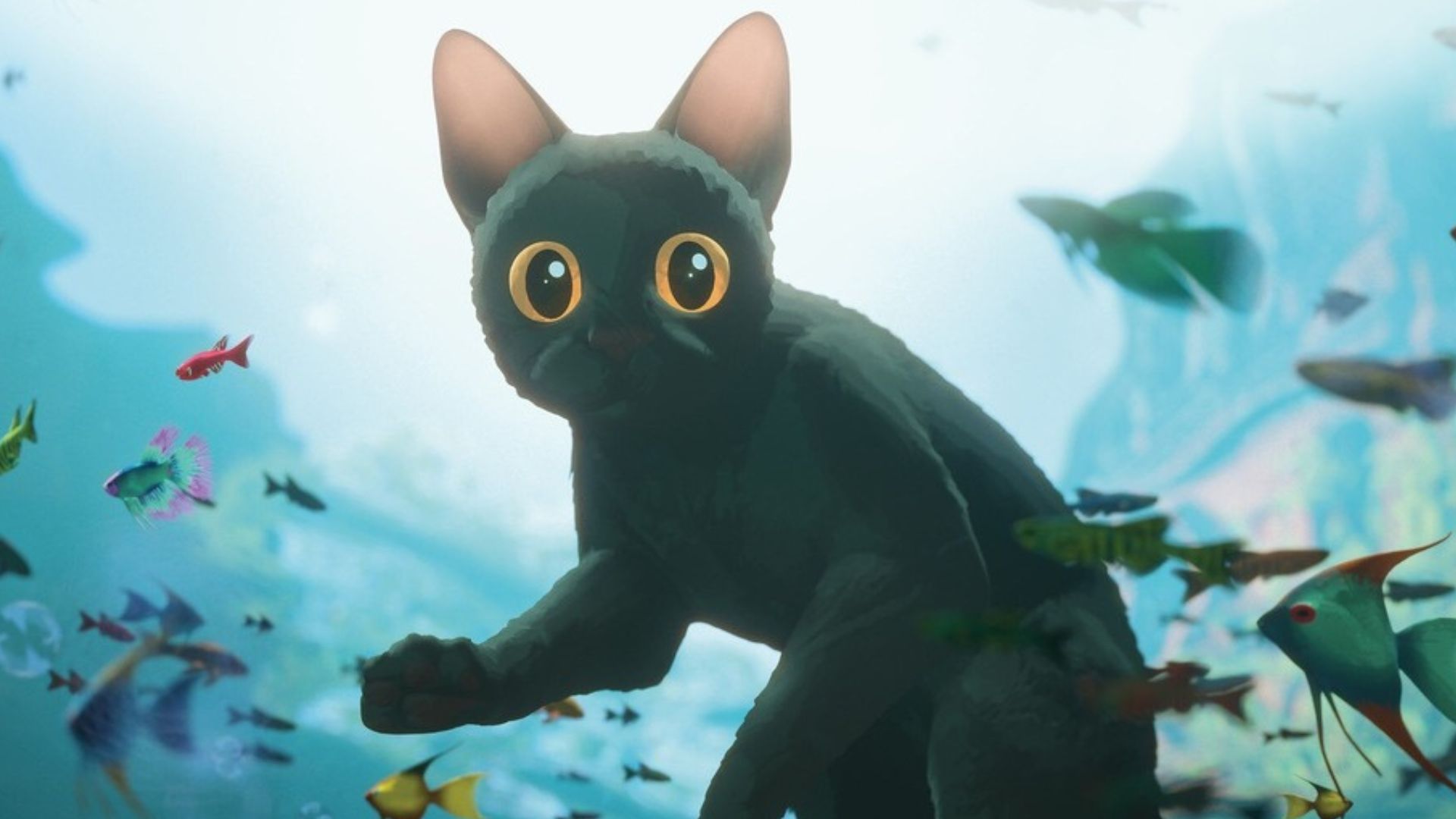 Mini-budget, maxi-succès : le génial Flow est un carton, et c’est une ...