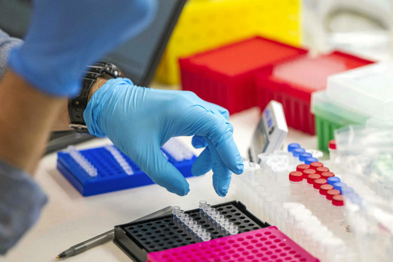 La France se tire-t-elle une balle dans le pied en sacrifiant ses ...