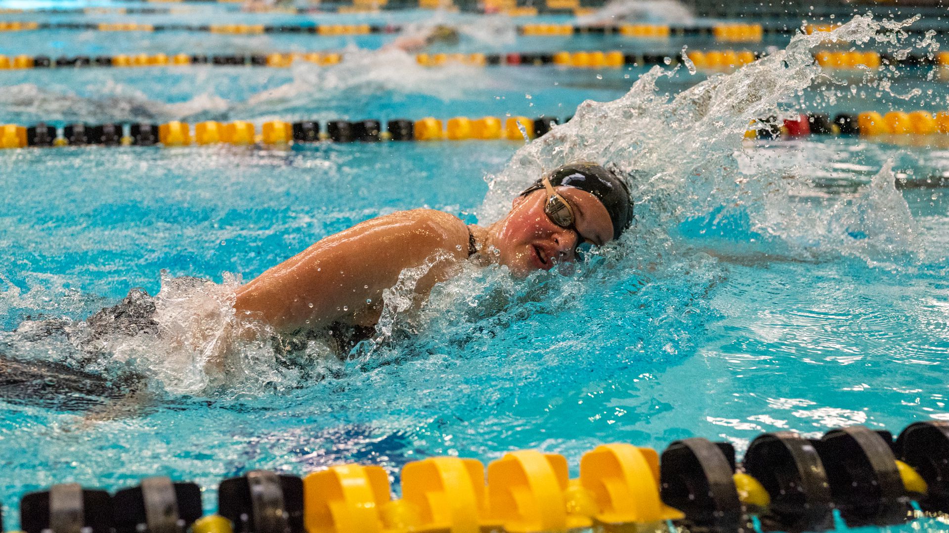 Swim and Dive Sets Off for the SEC Championships