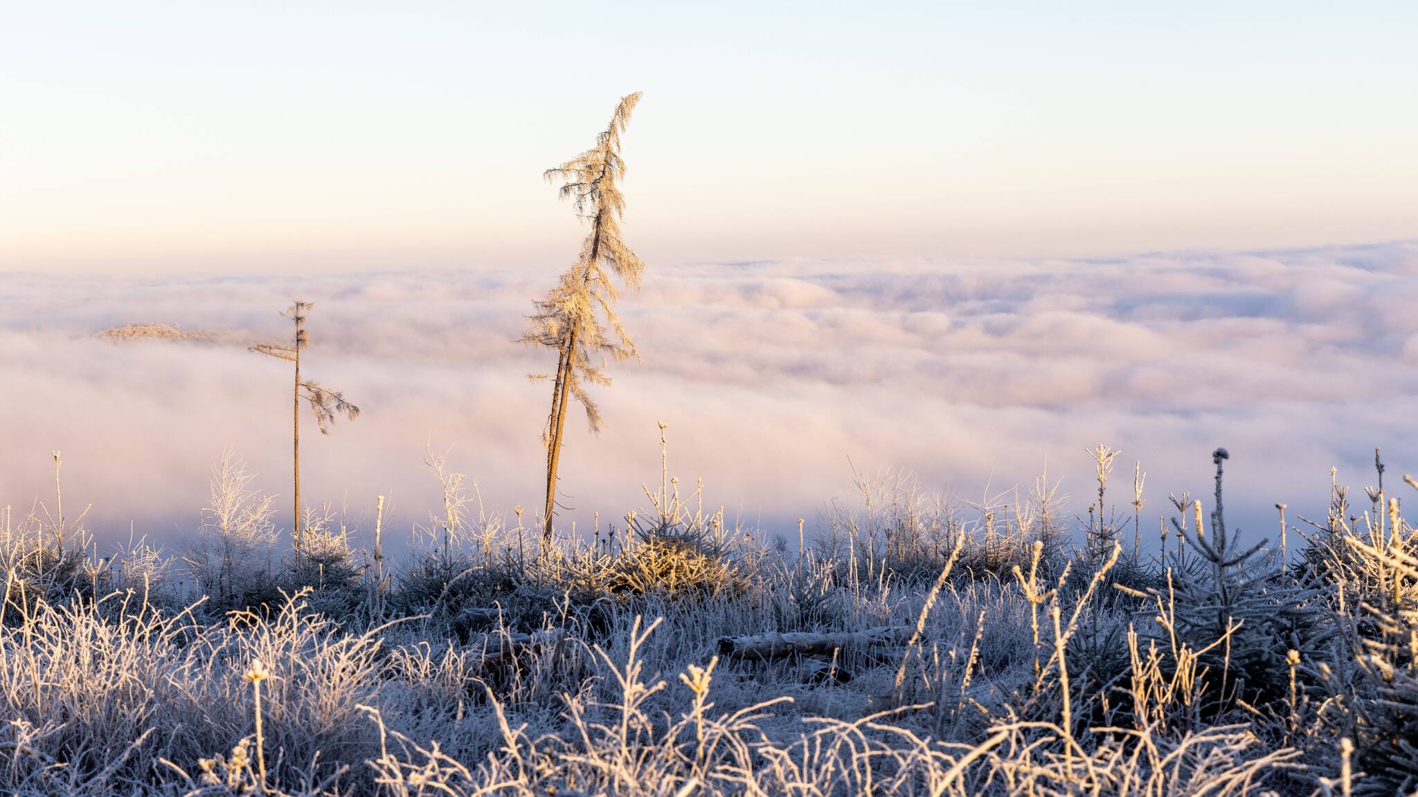 Nachts bis zu minus 15 Grad: Im Osten wird es winterlich