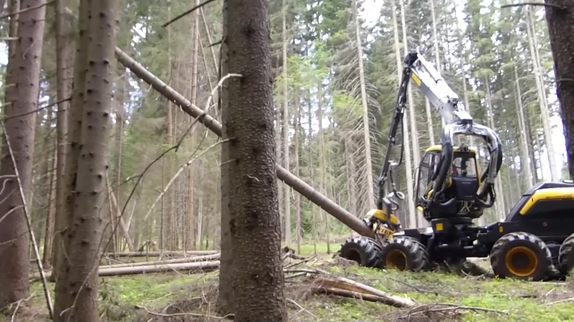 Heavy-Duty Forestry Work with Ponsse Scorpion King & H7