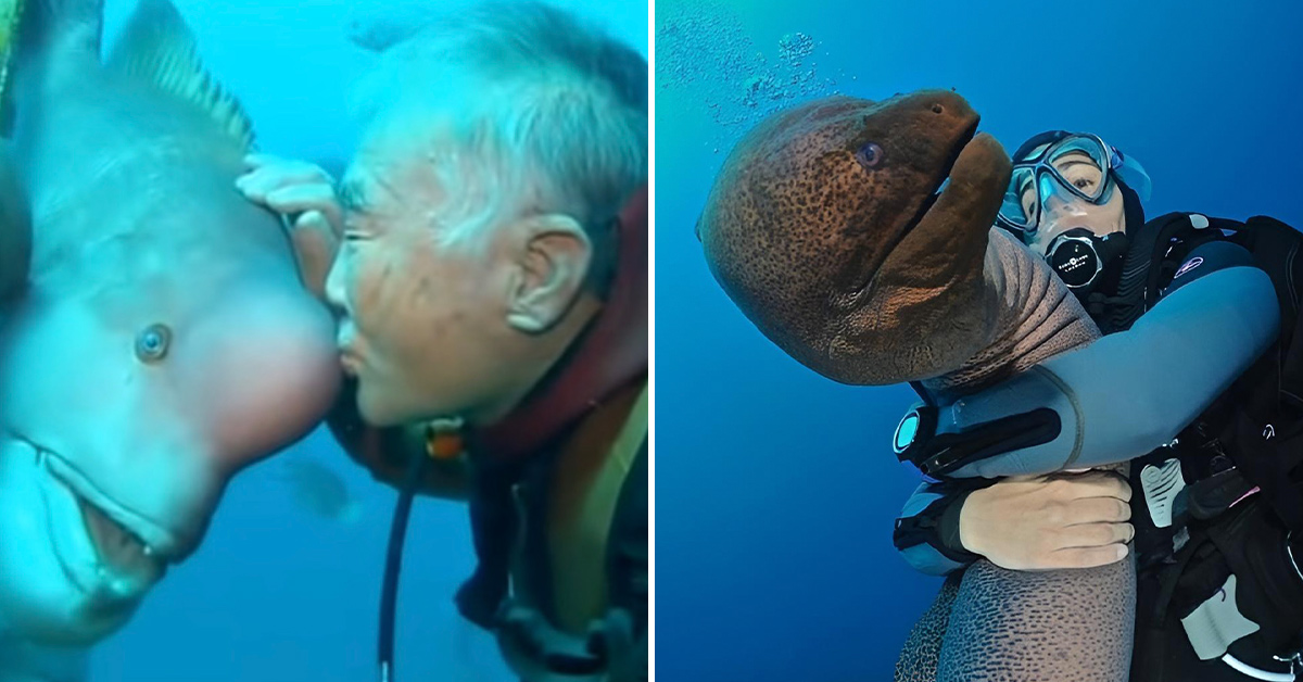 21 Scuba Divers Falling Deeply in Love with Fish