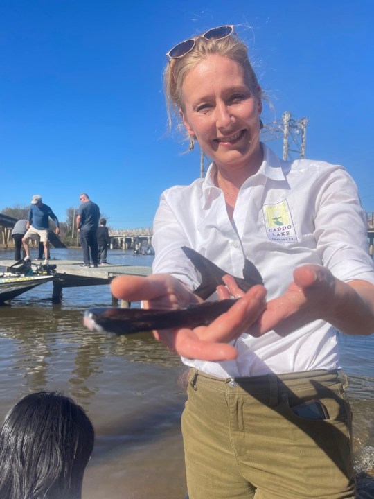 Shreveport Aquarium, Caddo Lake Institute to release more Paddlefish