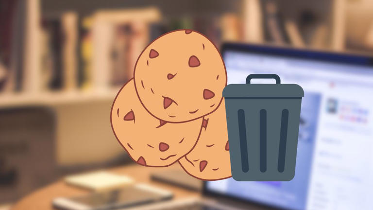 Cómo eliminar las cookies del navegador