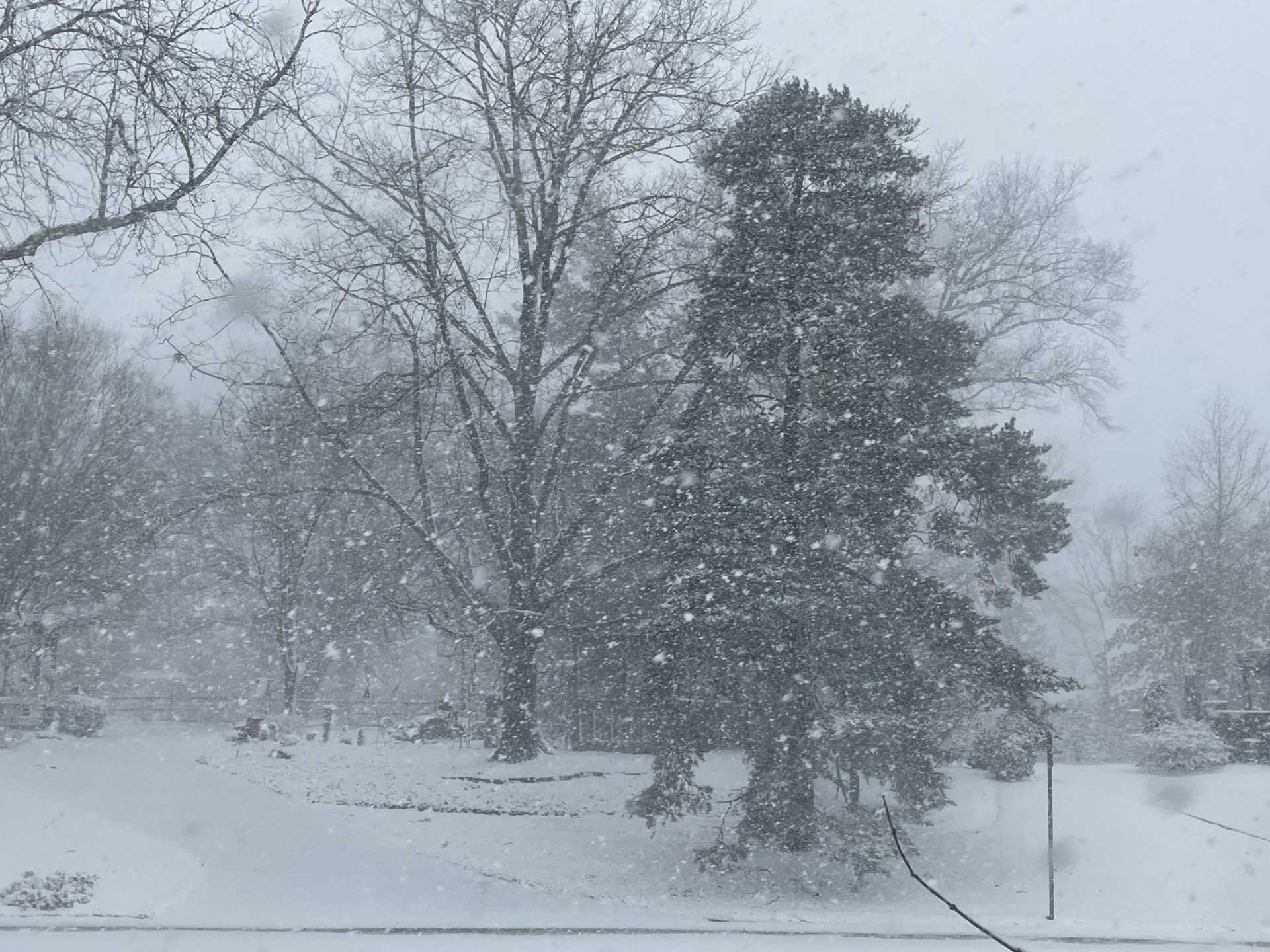 How much snow has fallen so far? See latest snow totals across Cincinnati