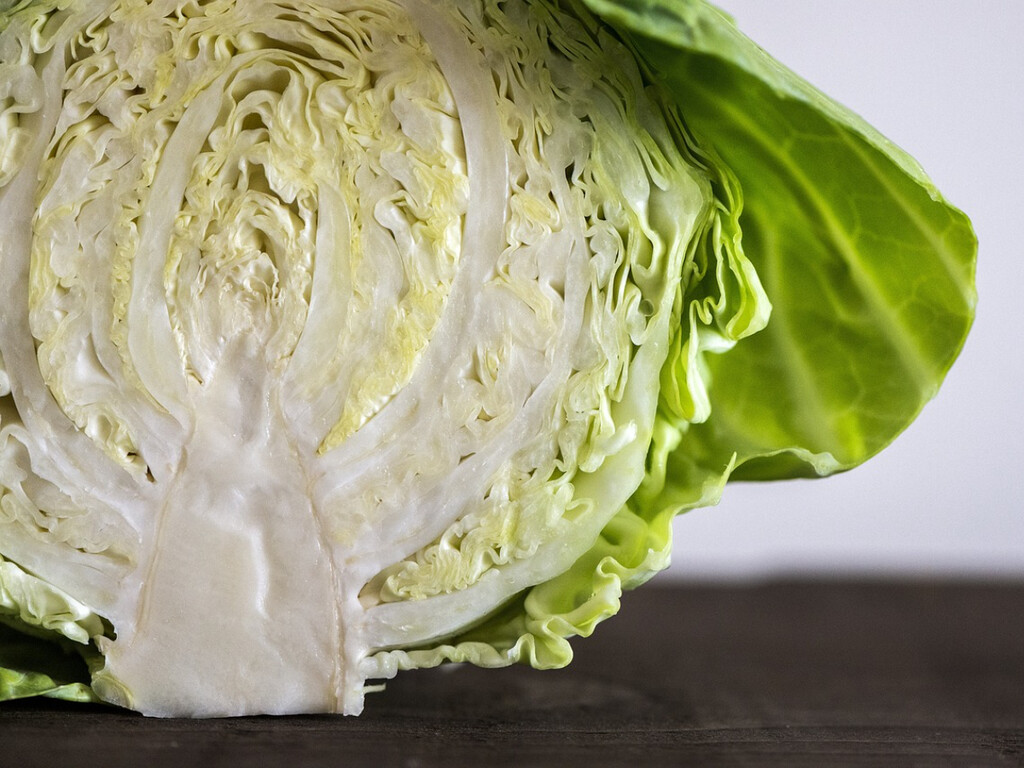 La sencilla técnica japonesa para cocinar el repollo y que esté mil ...