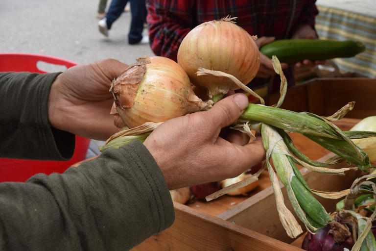 Farmers dealing with chronic stress now have 24-hour national crisis line